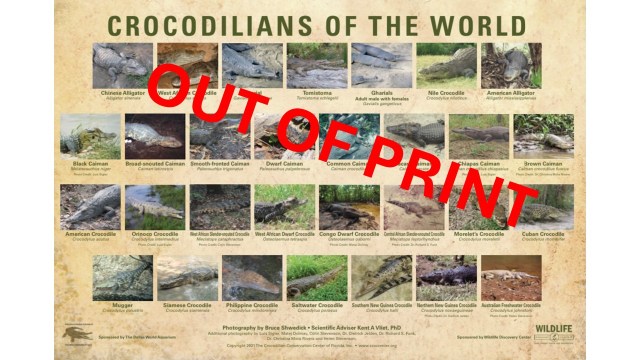 Crocodilian Poster – Special Edition! – Crocodilian Conservation Center ...
